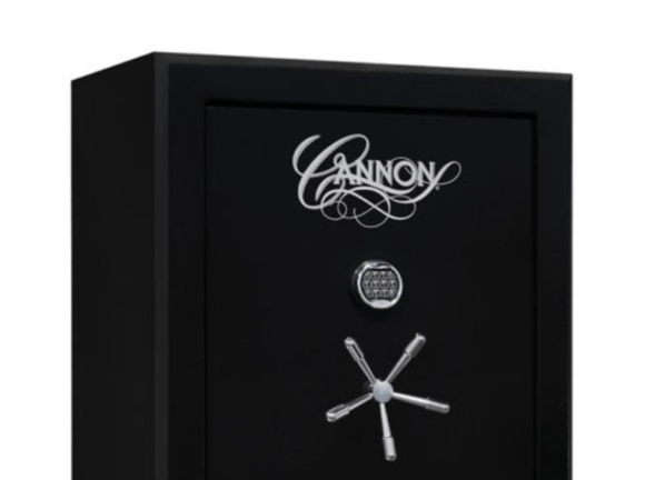 Cannon 40 Gun Safe Review - Expert Safe Reviews