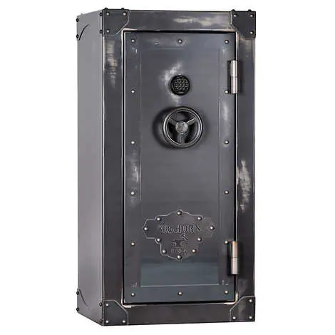 Bighorn Ironworks 26.04 Cu.Ft. Executive Vault Review - Expert Safe Reviews